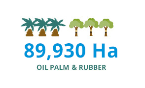 IndoAgri :: Our Business